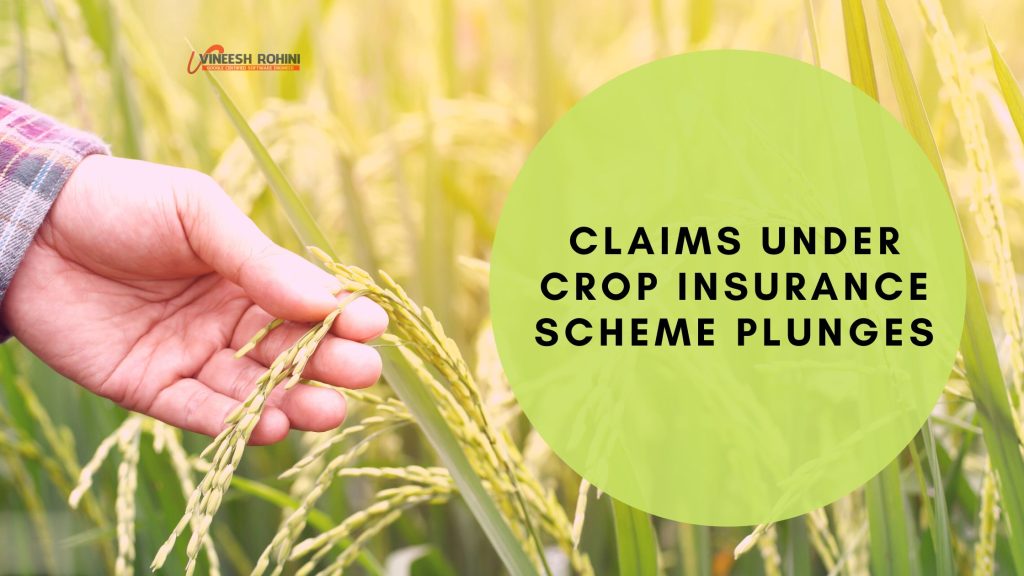 Claims under crops insurance scheme plunges - Vineesh Rohini