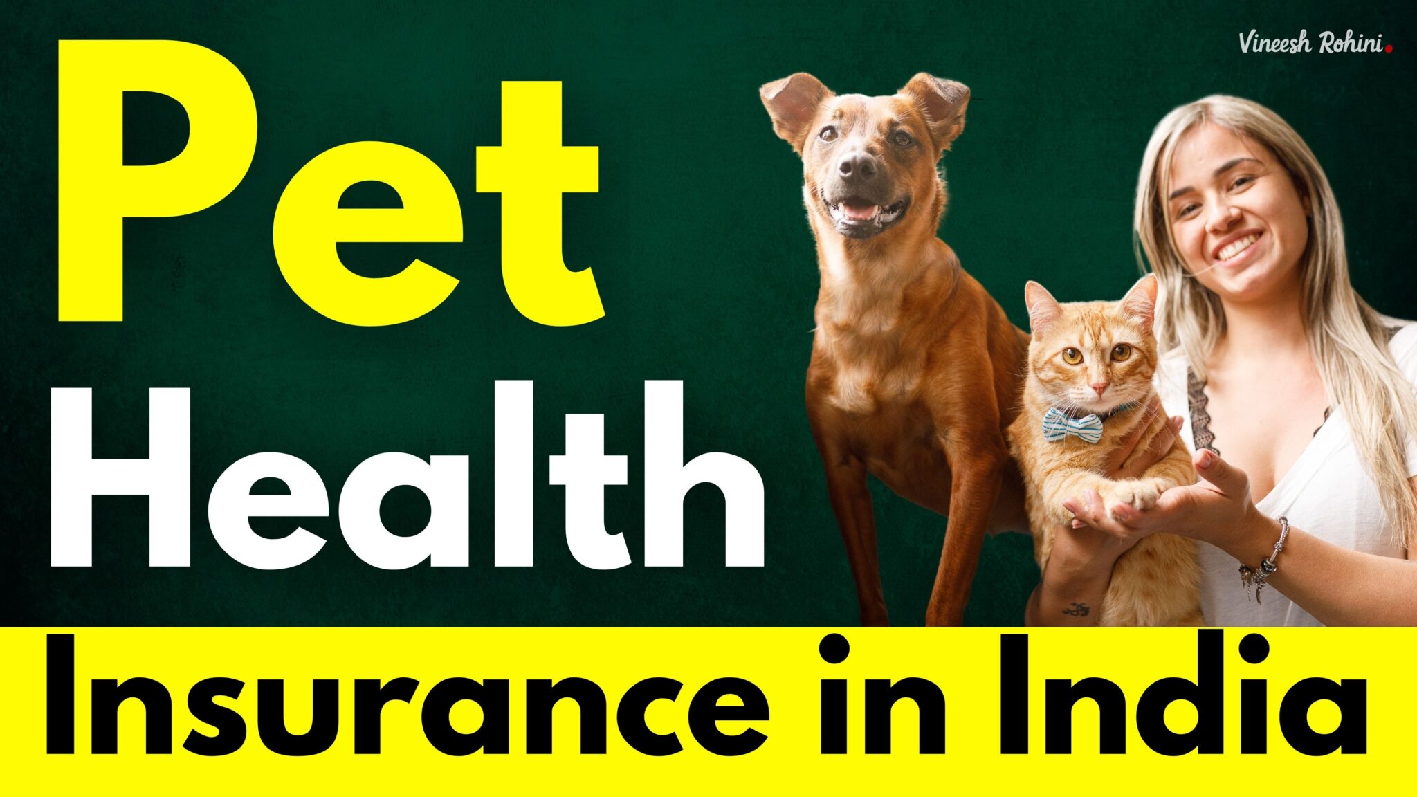 Pet Health Insurance in India : Comprehensive Guide 2024 - Vineesh Rohini