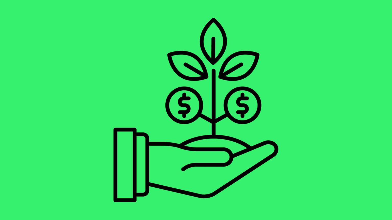 5 Best Investment Options : Where Should Beginners Invest to Grow money?