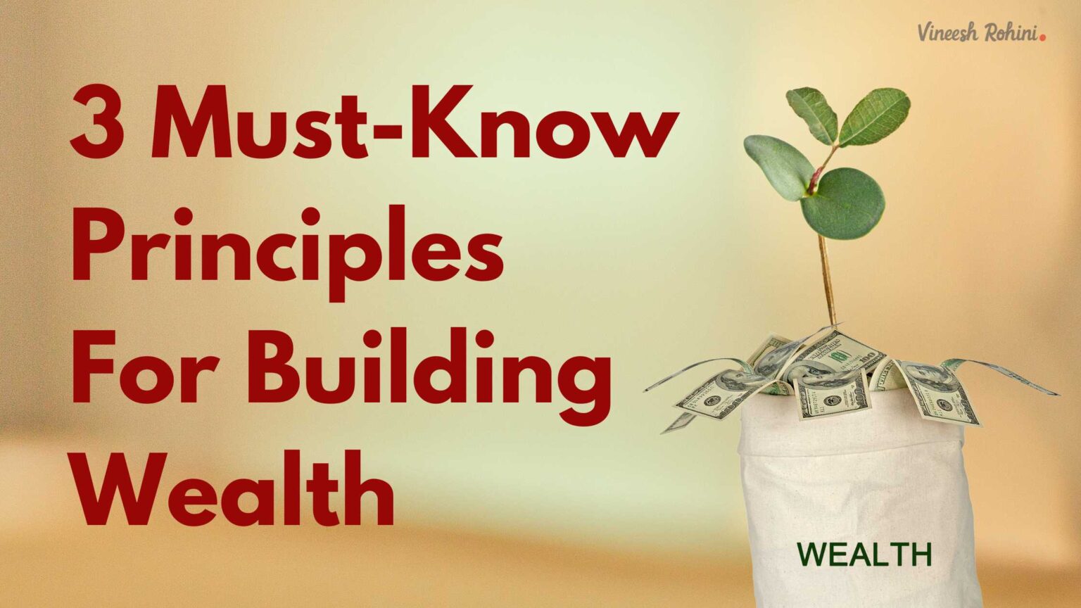 Wealth Rules : 3 Must-Know Principles for Building Wealth ...