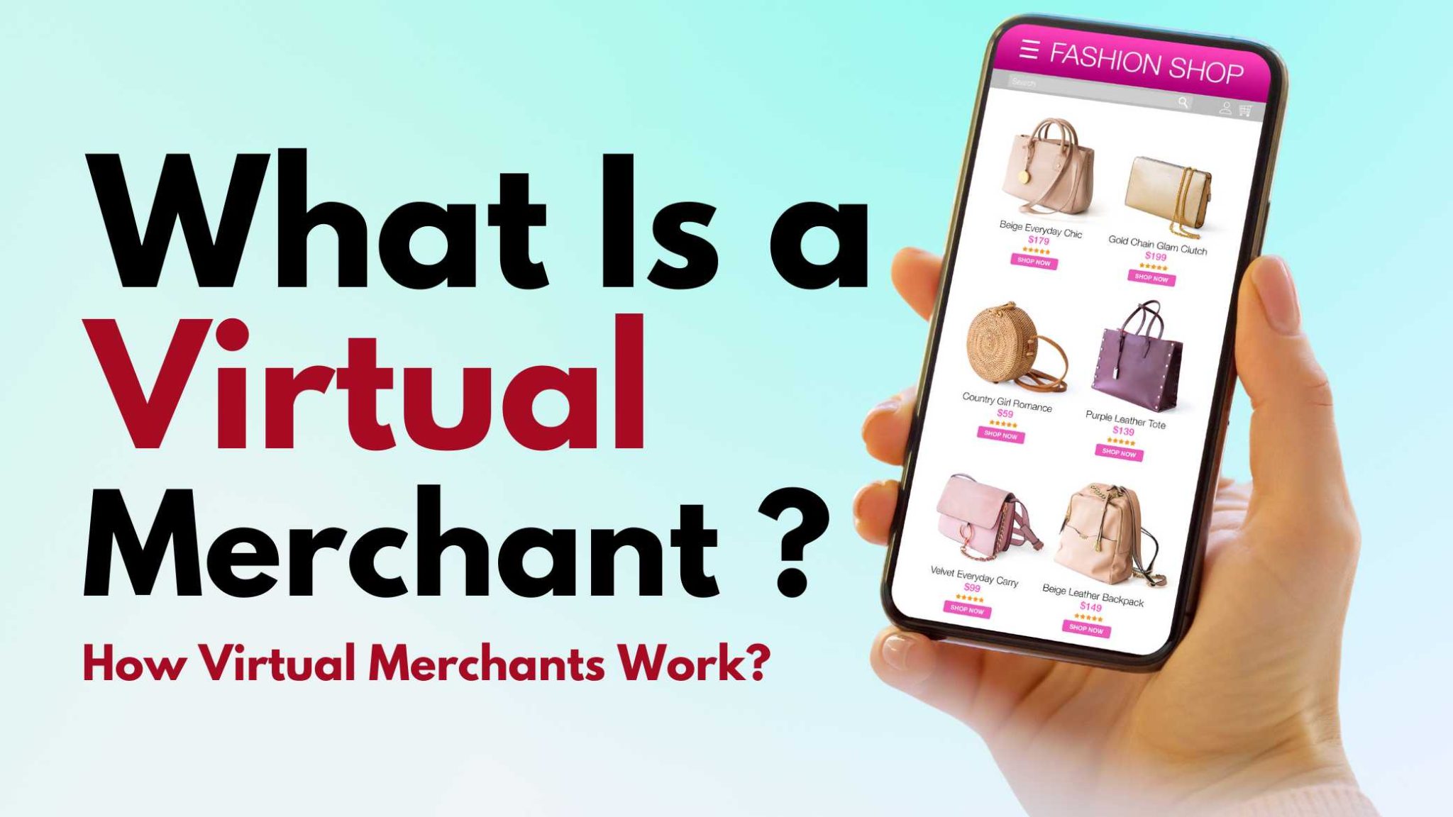 What Is a Virtual Merchant ? How Virtual Merchants Work ...