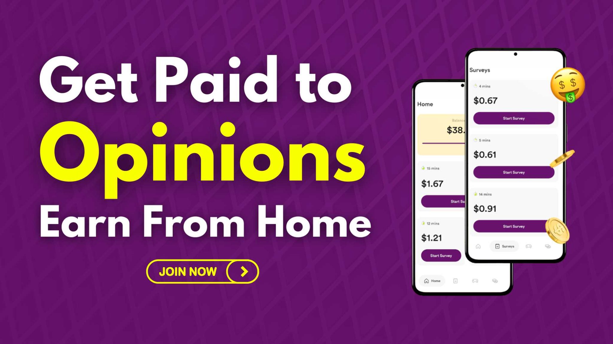 Branded Surveys : Take Online Paid Surveys & Earn Money : Comprehensive Guide 2025 - Vineesh Rohini