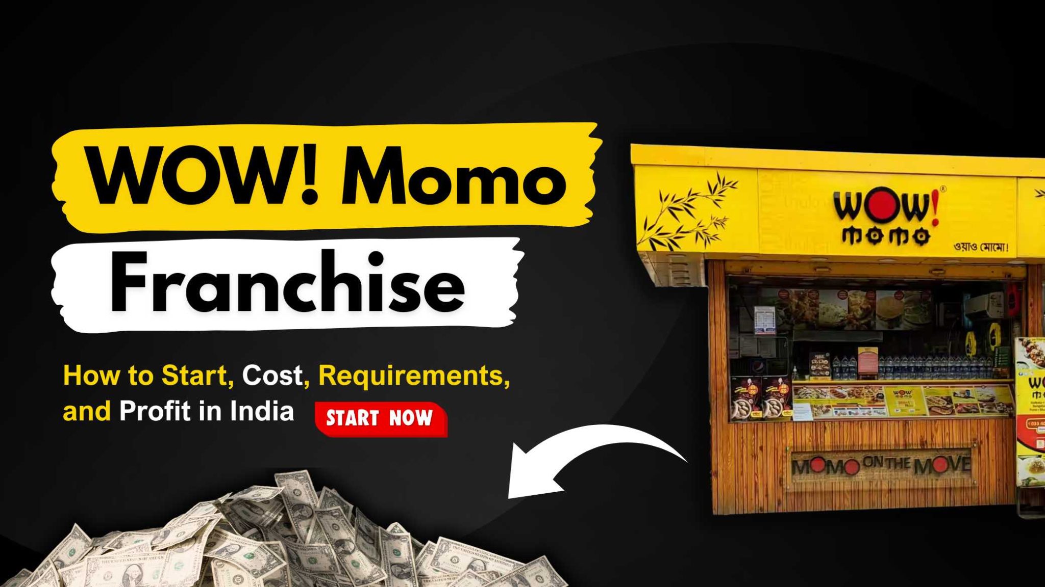 WOW! Momo Franchise – How to Start, Cost, Requirements, and Profit in ...